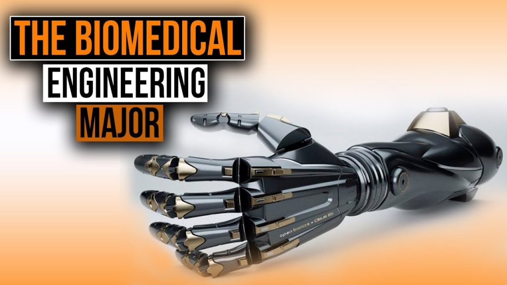 The Biomedical Engineer - iTeachSTEM